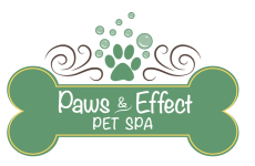 Paws & Effect Pet Spa | Visit Santa Monica