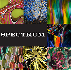 Spectrum | Visit Santa Monica